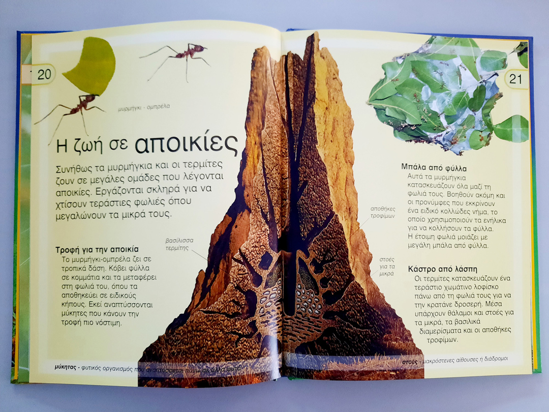 ΜΑΓΙΚΟΣ ΚΟΣΜΟΣ | ΕΚΔΟΣΕΙΣ ΙΡΙΔΑ