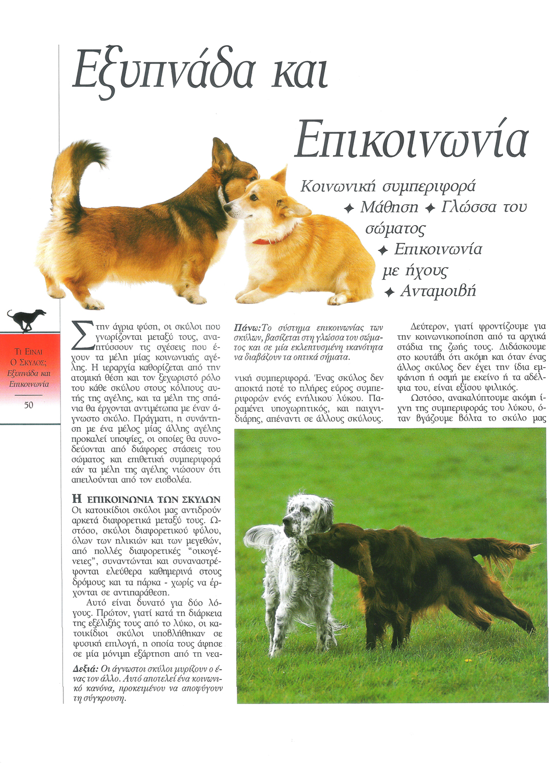Ο ΣΚΥΛΟΣ, Ο ΚΑΛΥΤΕΡΟΣ ΦΙΛΟΣ ΤΟΥ ΑΝΘΡΩΠΟΥ | ΕΚΔΟΣΕΙΣ ΙΡΙΔΑ